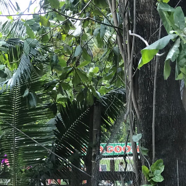 Photos at Green Lagoon Beach Resort - Compostela, Cebu