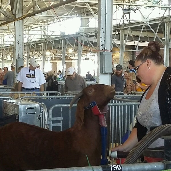 Avenue of Breeds - Farm in Des Moines