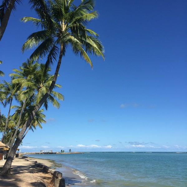 Praia de Ponta Verde - Ponta Verde - 393 tips