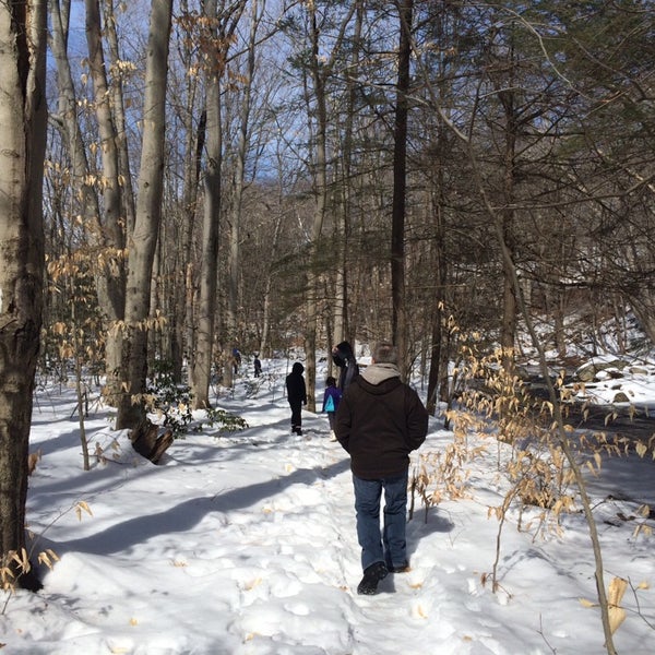 Bittner Park - Baseball Field