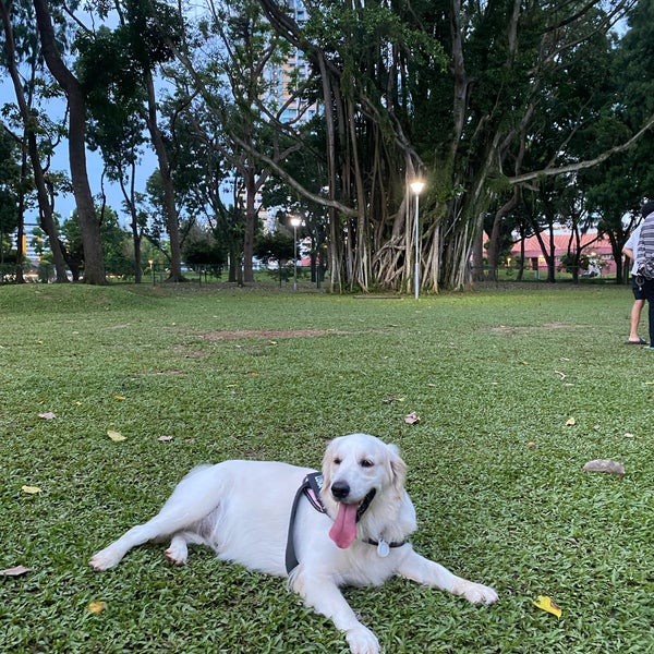 Dog Run @ Bishan Park - Ang Mo Kio - Ang Mo Kio Avenue 1