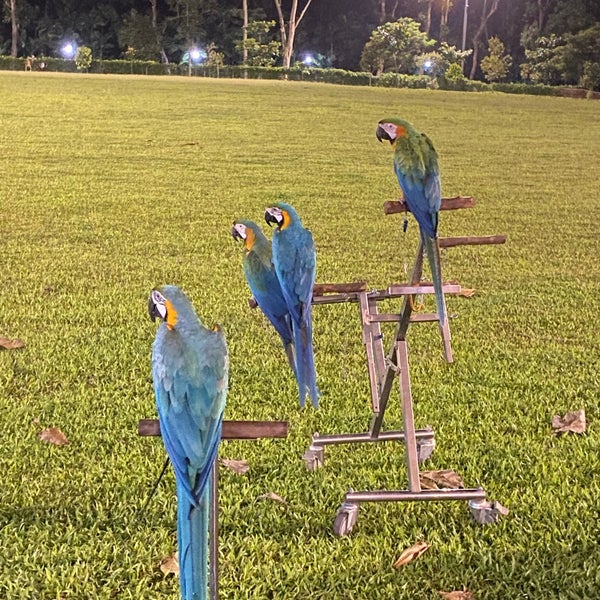 Parkland Green - Recreation Center in Marine Parade