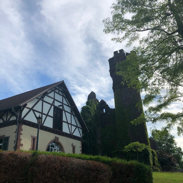 European Business School (EBS) - University