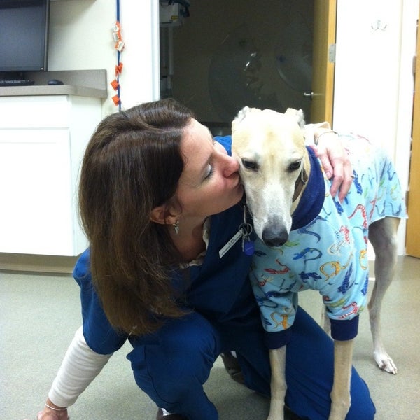 Progressive Animal Wellness - Avon, CT