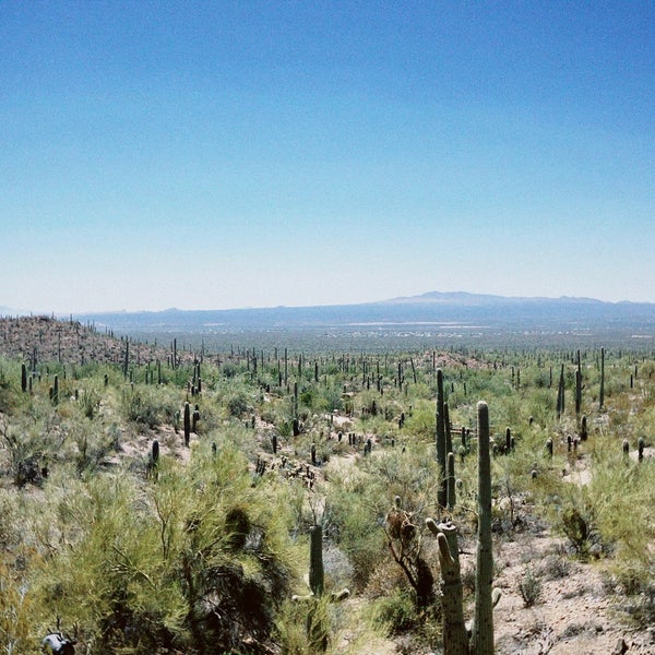 Arizona-Sonora Desert Museum - Museum in Tucson