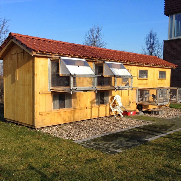 Taubenklinik - Katernberger Str. 115