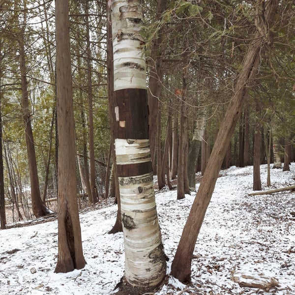 Monora Park - Mono, ON