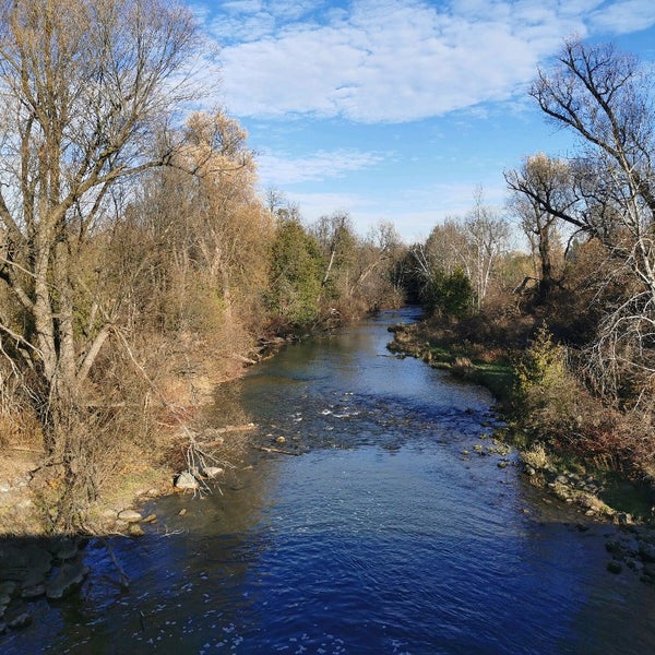 Earl Rowe Provincial Park - Campground