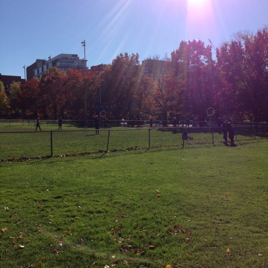 Photos at Boston Common Baseball Field - Baseball Field in Beacon Hill