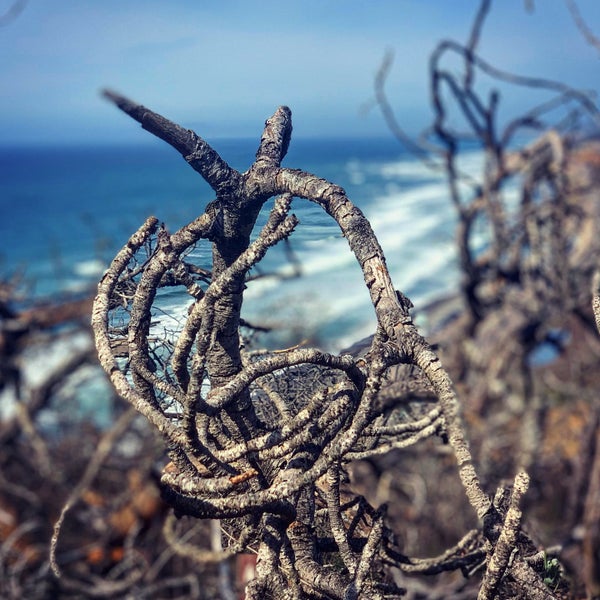 Torrey Hills Neighborhood Park - Carmel Valley - 4 tips