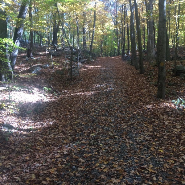 Hop Brook Lake - 4 tips from 219 visitors