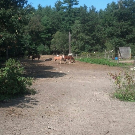 Lucky 7 Stables - Londonderry, NH