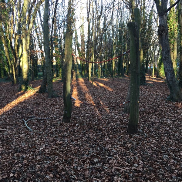 Tymon Park Playground