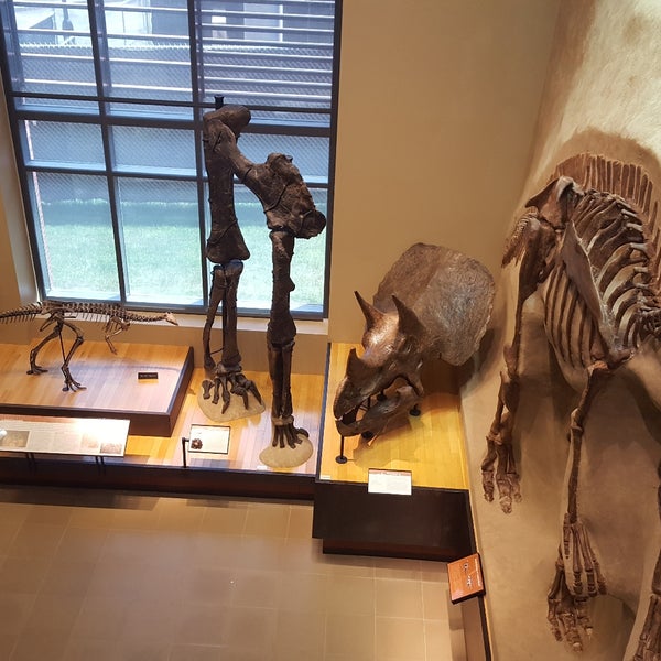 Photos at Beneski Museum of Natural History - 11 Barrett Hill Rd
