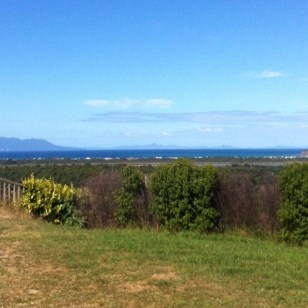Omaha Bay Vineyard - Vineyard in Matakana