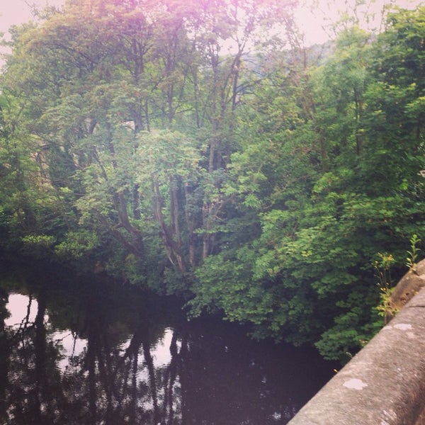 Photos at The Fox House - Pub in Sheffield