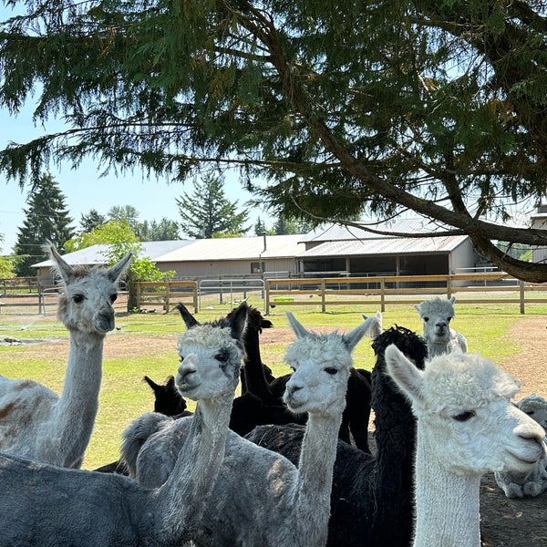 Kensington Prairie Farm - 1 tip