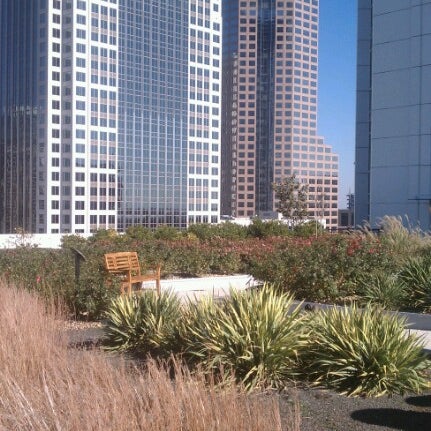 550 South Tyron Green Roof - Garden in Third Ward