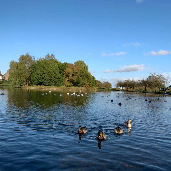 Swanny Ponds - Lake in Dundee