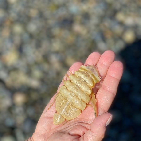 Mukilteo Beach - Mukilteo, WA