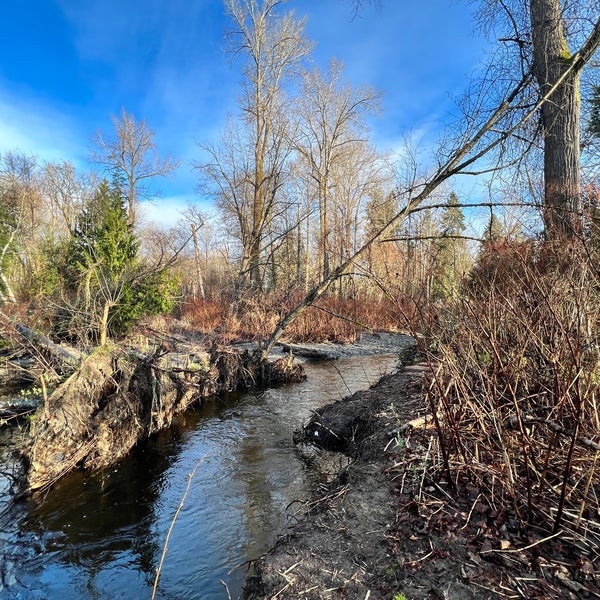 Swamp Creek Park - 2 tips