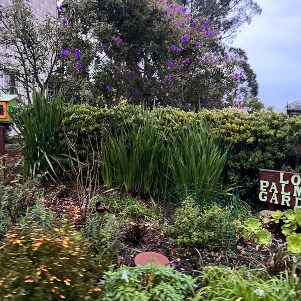 Los Palmos mini-park - Park in Miraloma Park