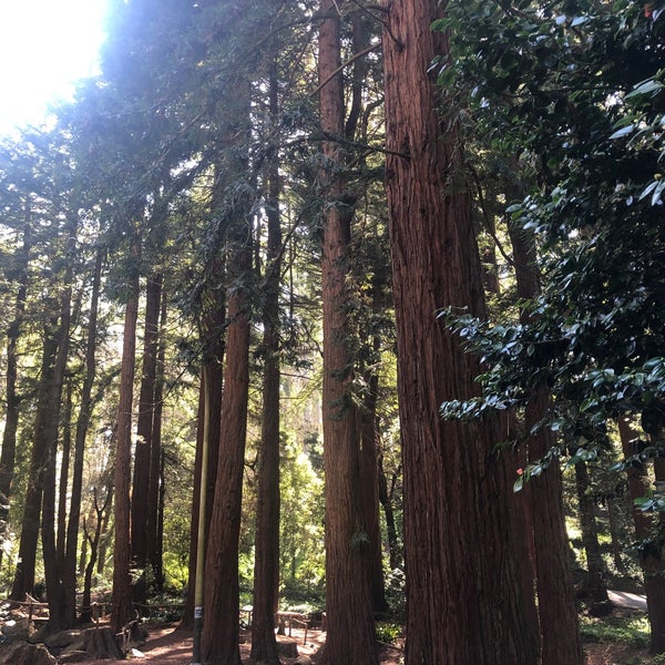 Stern Grove Trocadero Clubhouse - Parkside - 2 tips