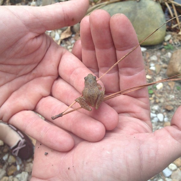 Lugoff, SC - Town in Lugoff