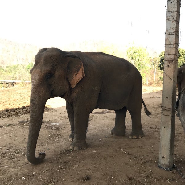 Maevang Elephant Camp