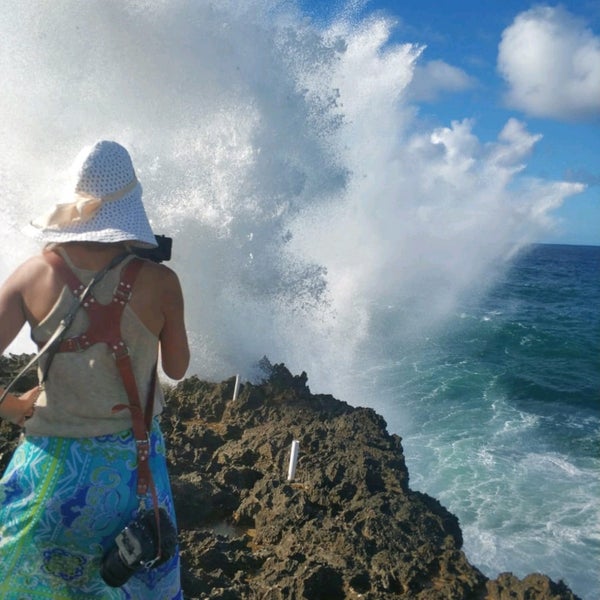 Animal Flower Cave - Cave