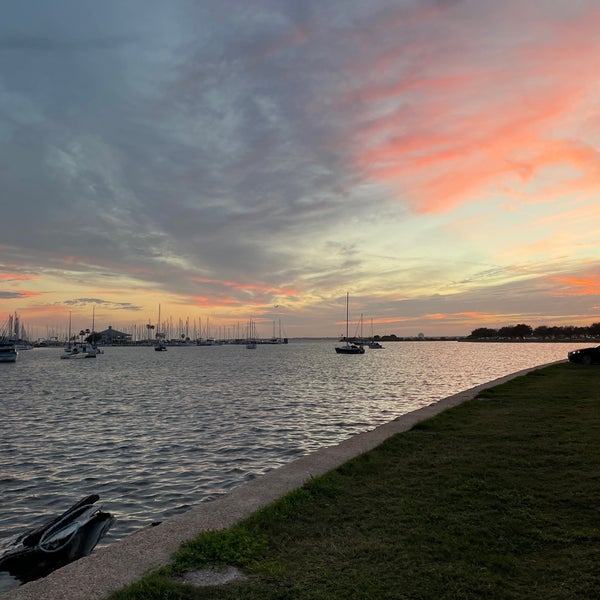 Davis Island Zip Code