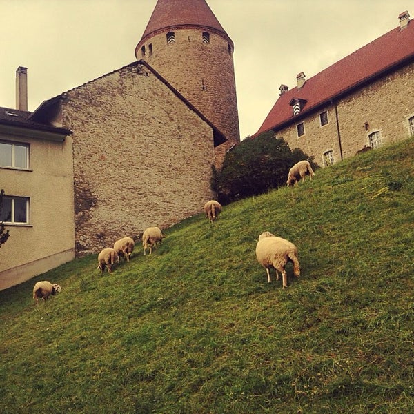 Bulle - 4 tips from 723 visitors