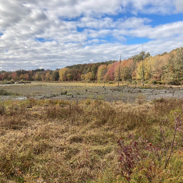 Sandy Ridge Reservation - Park