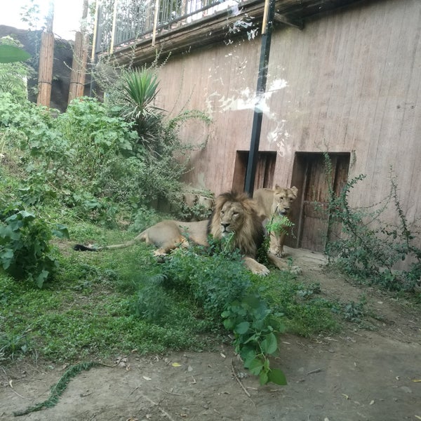 Photos at Tehran Zoo | باغ وحش تهران - منطقه ۵ - Eram Park