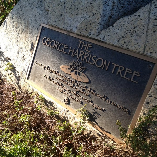 Photos at The George Harrison Tree - 2 tips