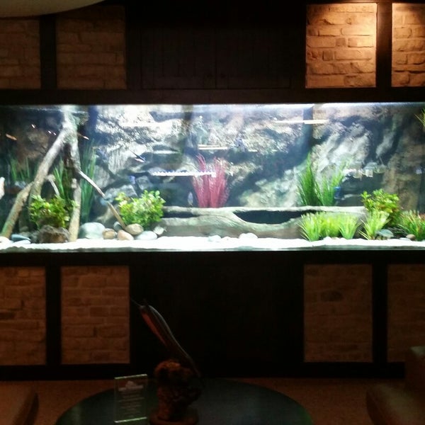 Photos at The Fish Gallery - Zoo