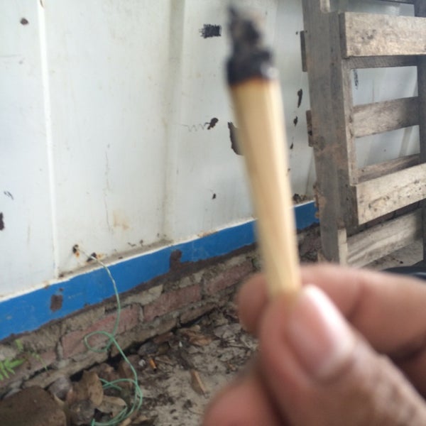 Penjom exploration lab - Structure