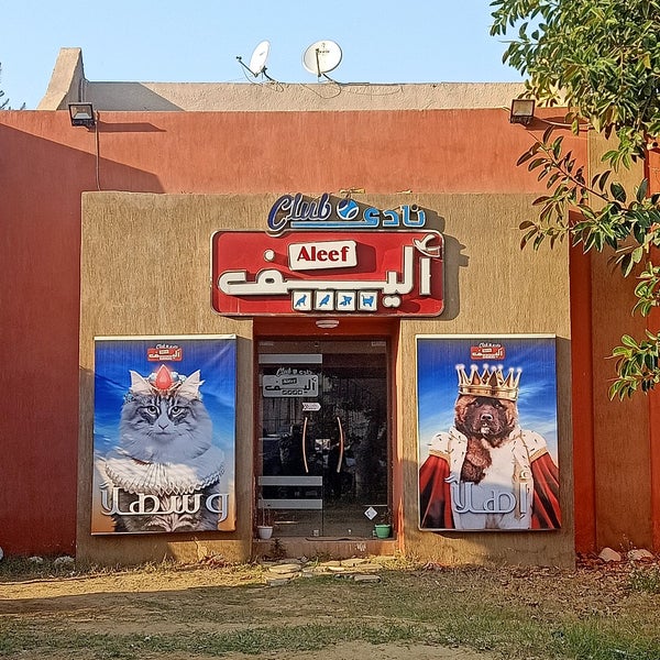 Shams Sporting Club | نادى الشمس الرياضى - مصر الجديدة, القاهرة