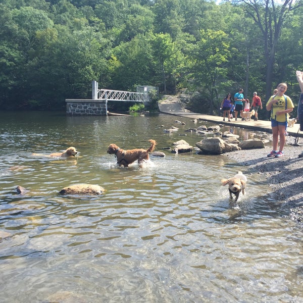 Ramapo Reservation - Hiking Trail