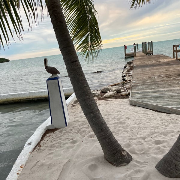 Lime Tree Bay Resort - 15 tips from 427 visitors