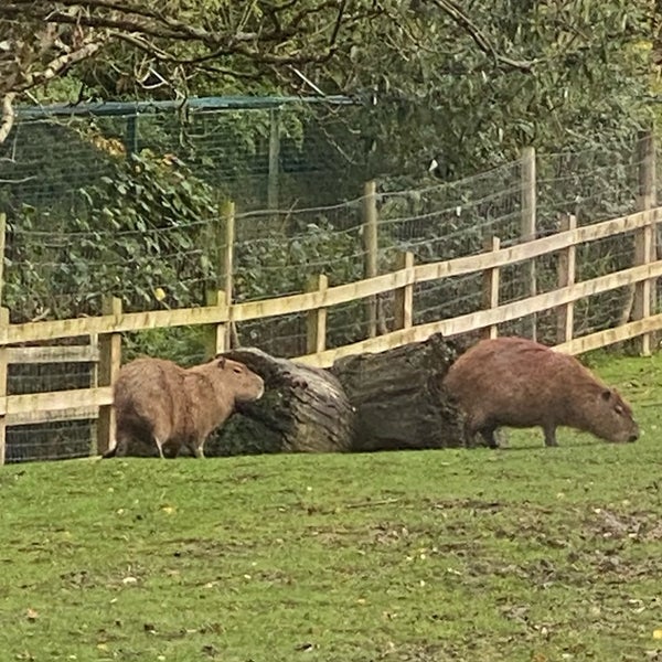 Tilgate Park Nature Centre - 4 tips