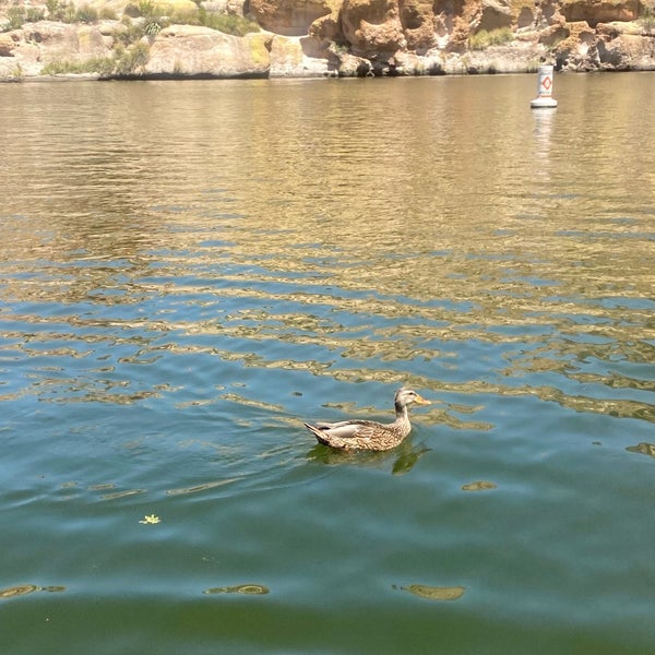 Canyon Lake - 13 tips from 1039 visitors