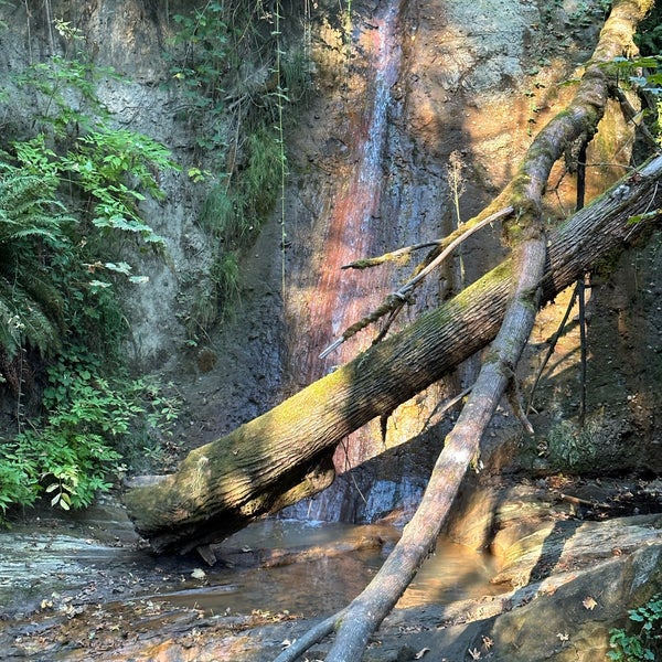 Red Town Trailhead - Hiking Trail in Bellevue