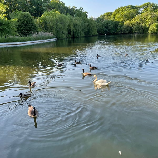 Kissena Lake - Kissena Lake