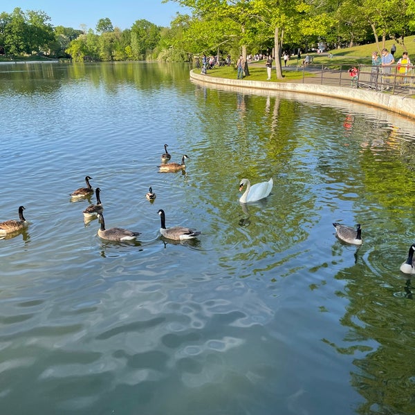 Kissena Lake - Kissena Lake