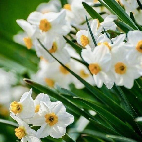 DG VISION ALUMINYUM RADYATOR & DELTA ALUMINIUM TR