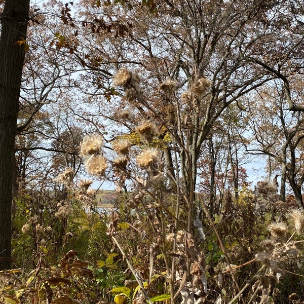 Cherokee Marsh Conservation Park - Madison, WI
