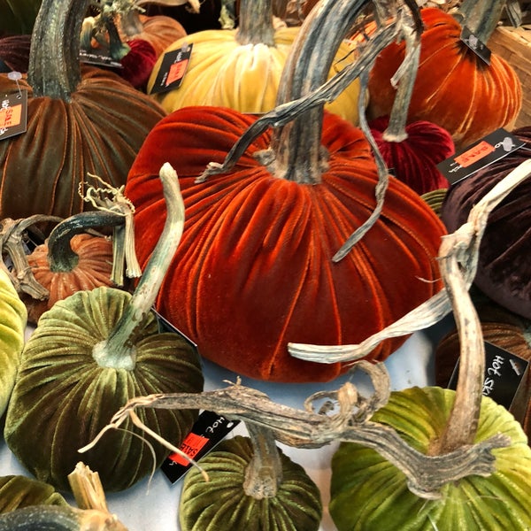 Photos at Made In Oregon - Concourse C