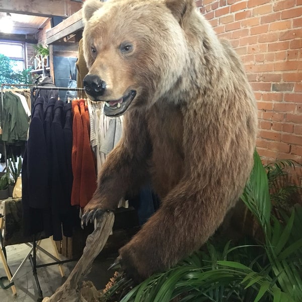 Glasswing - Capitol Hill - 5 tips