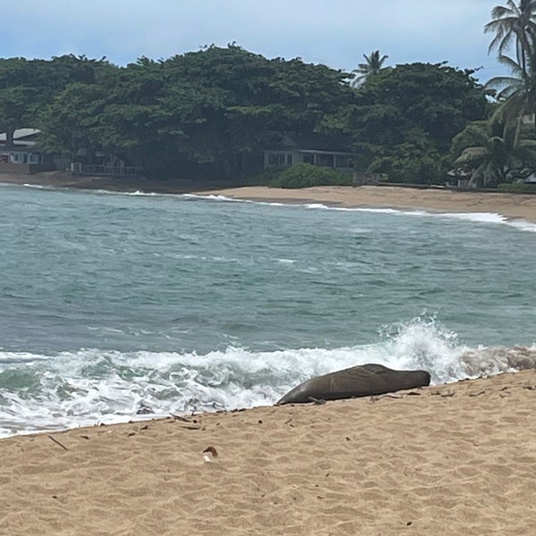 Hauula Beach Park - 54-135 Kamehameha Hwy